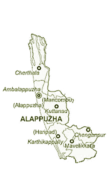 riverlandcruises - Houseboats alleppey